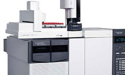 GC-MS非靶向代谢组 - 微基生物